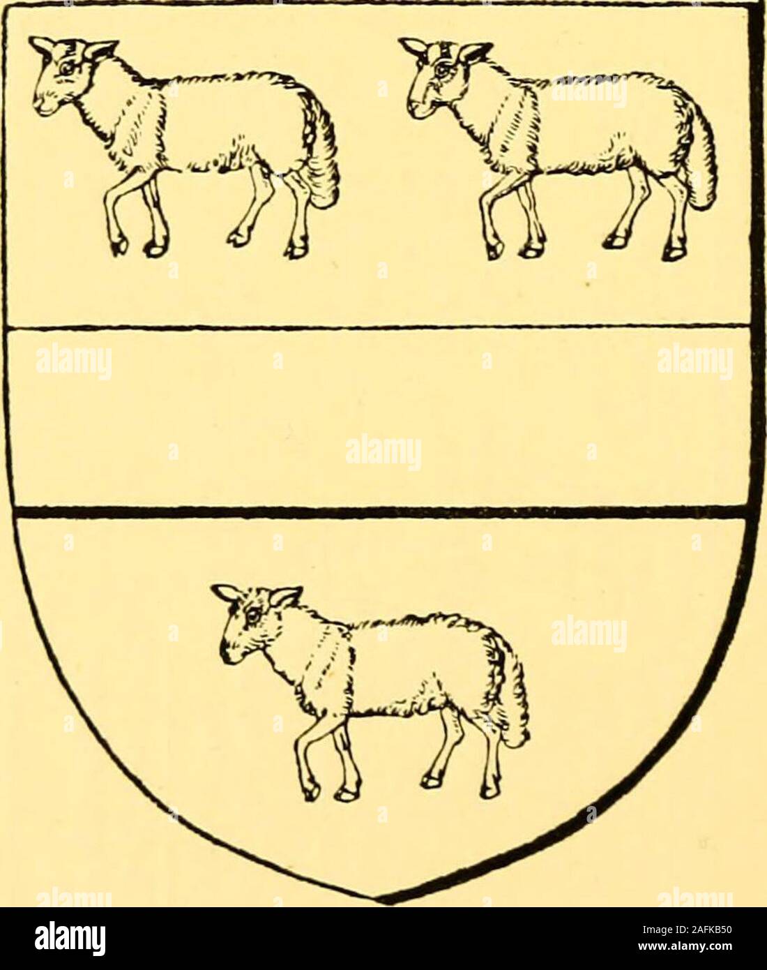 Fcsse hi-res stock photography and images - Alamy