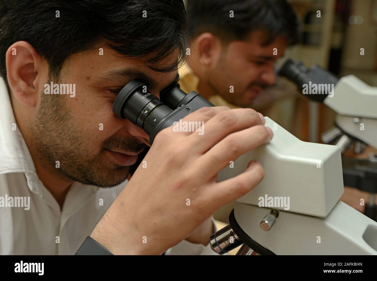 Viewing Slides Through a Microscope Stock Photo - Alamy