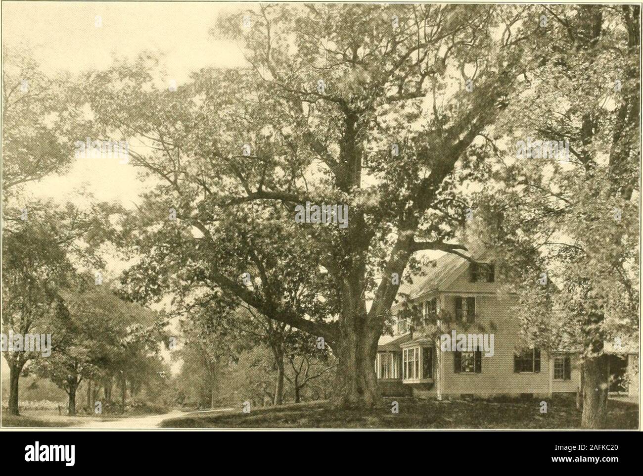 Tvet hi-res stock photography and images - Alamy