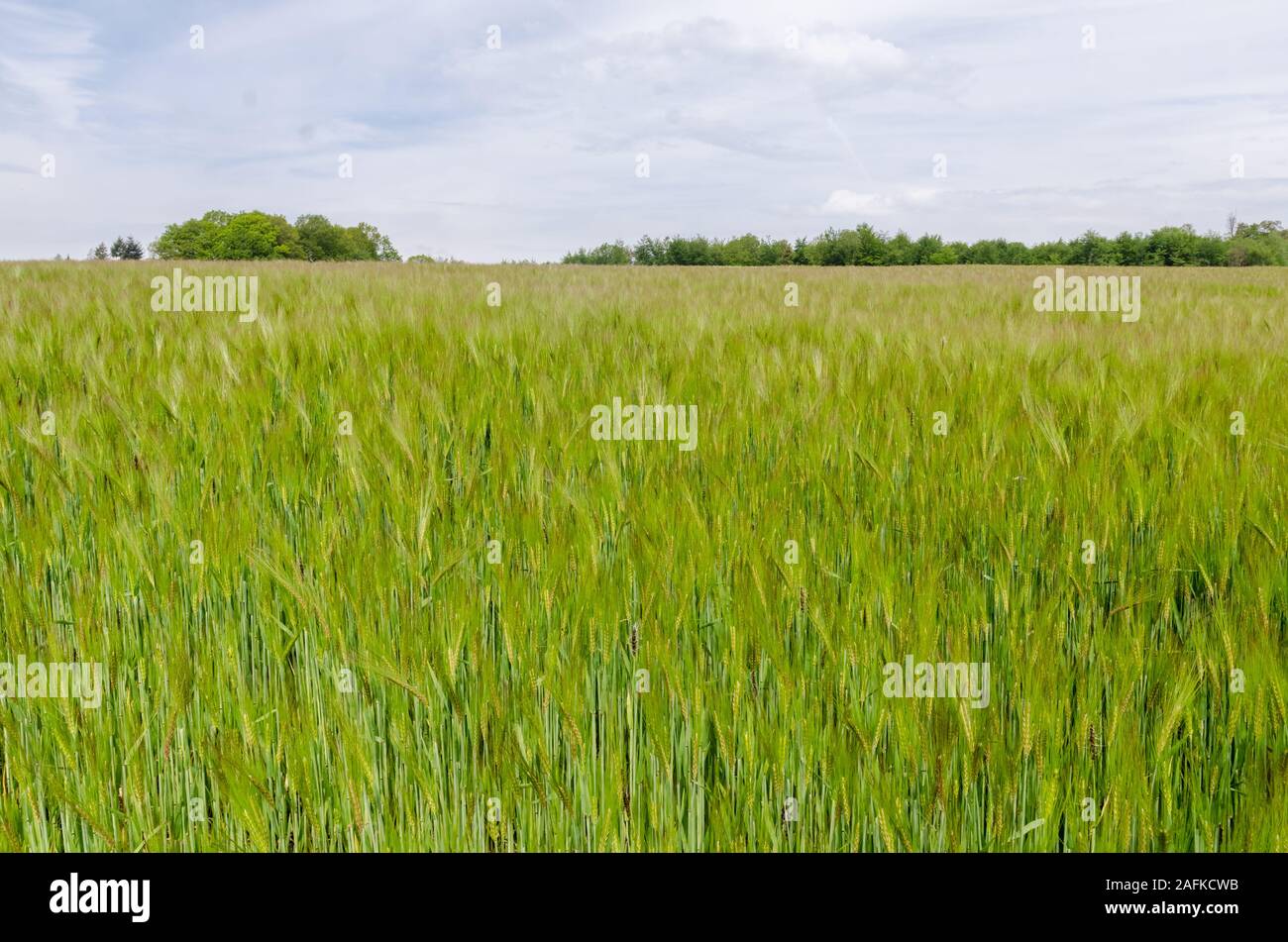 German Countryside High Resolution Stock Photography and Images - Alamy