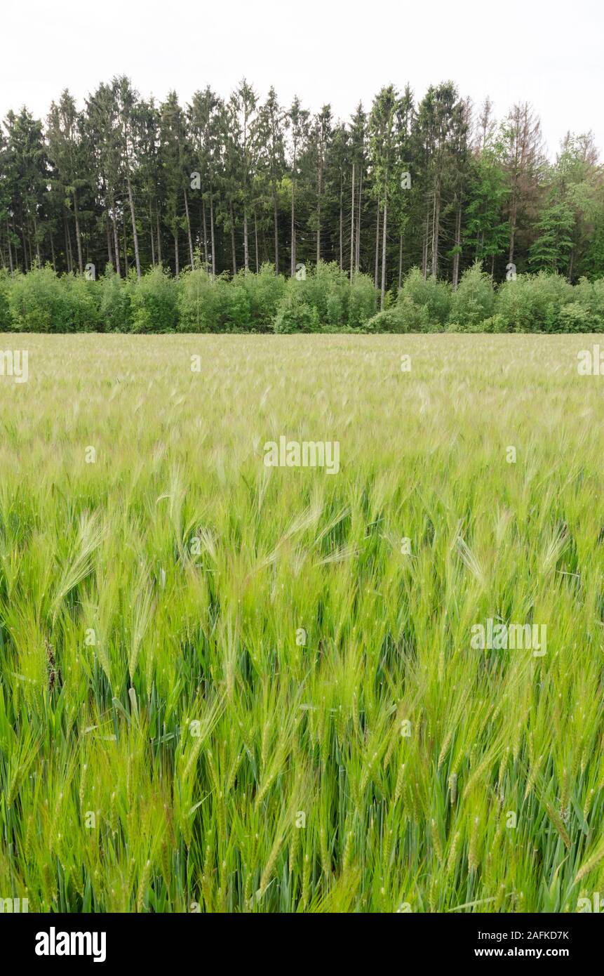 German countryside hi-res stock photography and images - Alamy