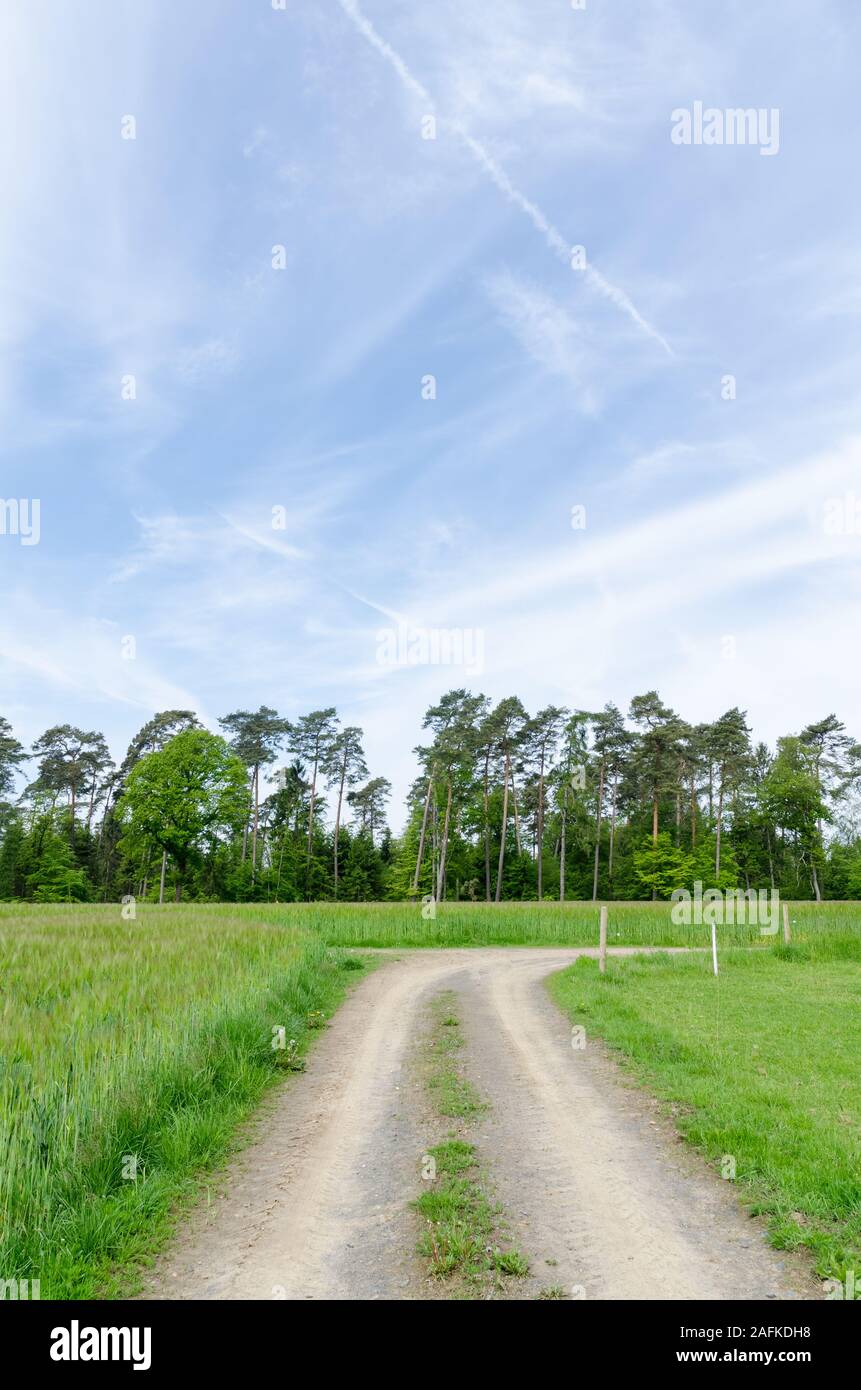 Field and forest landscape during summertime in the german countryside ...