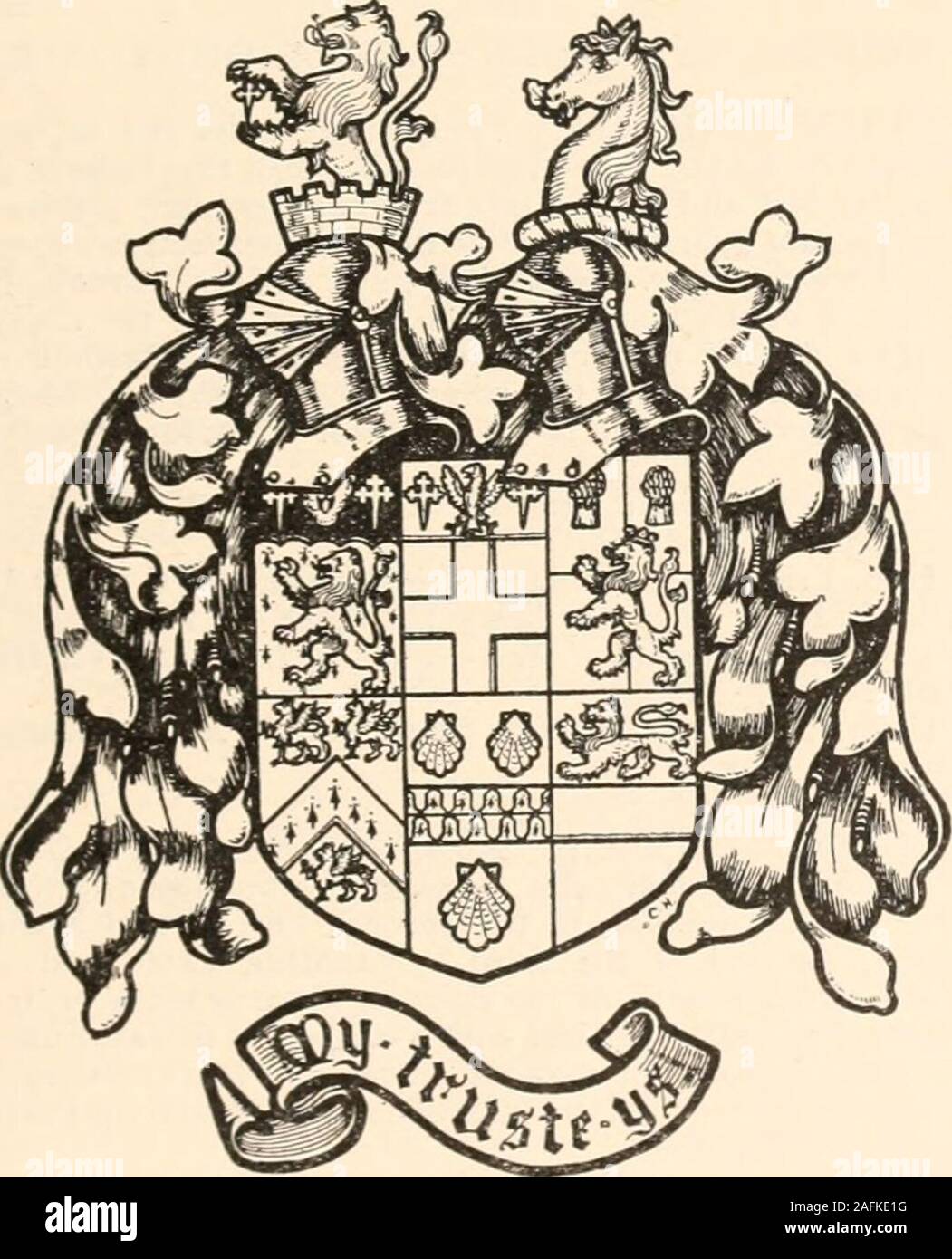 Estrella w hi-res stock photography and images - Alamy