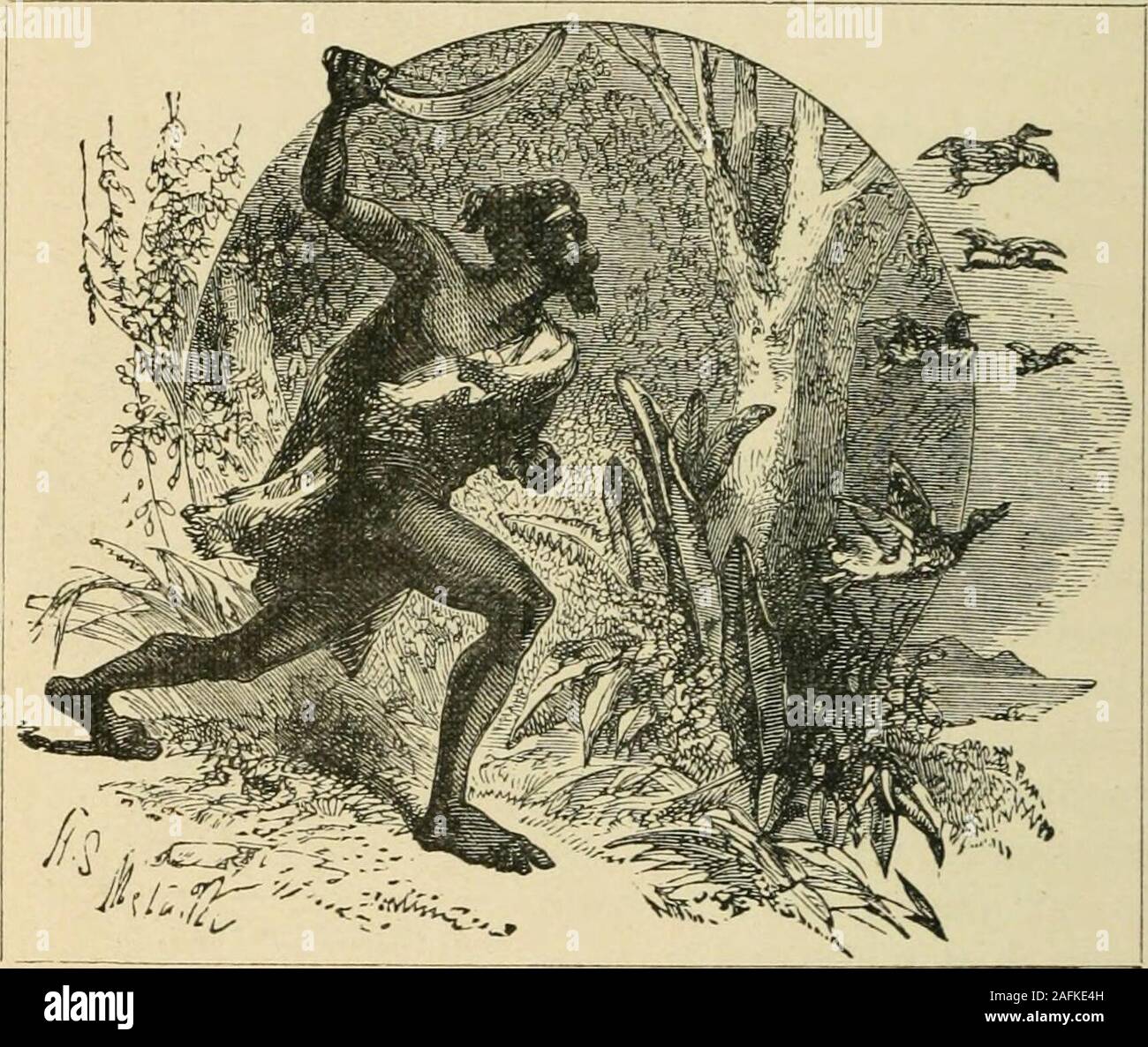 Races Of Mankind Poster