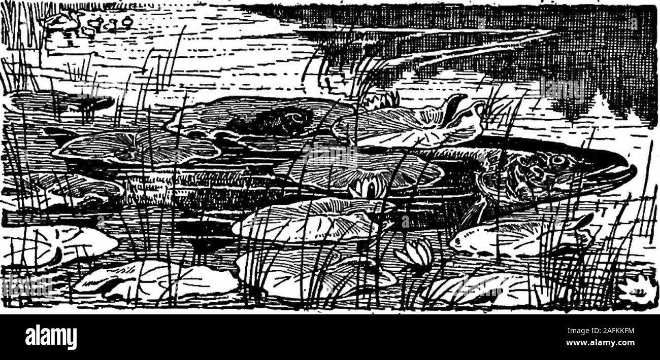 Land of nod hi-res stock photography and images - Alamy