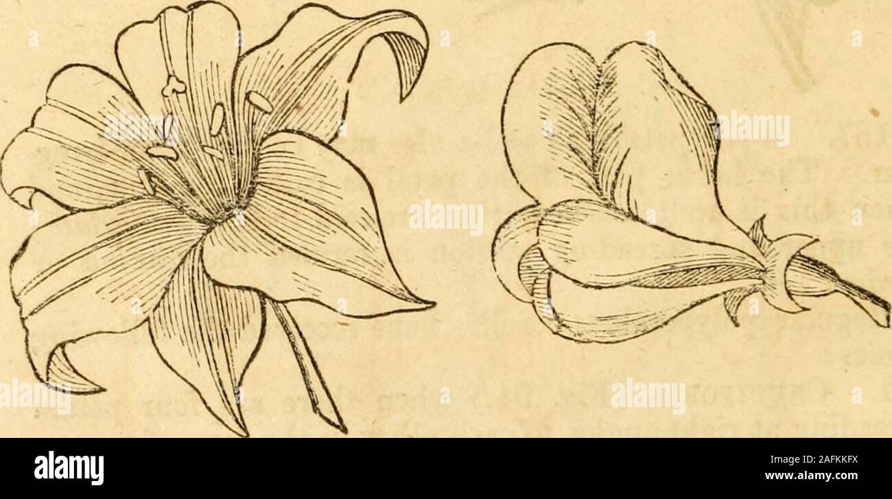 The bell curve book hi-res stock photography and images - Alamy