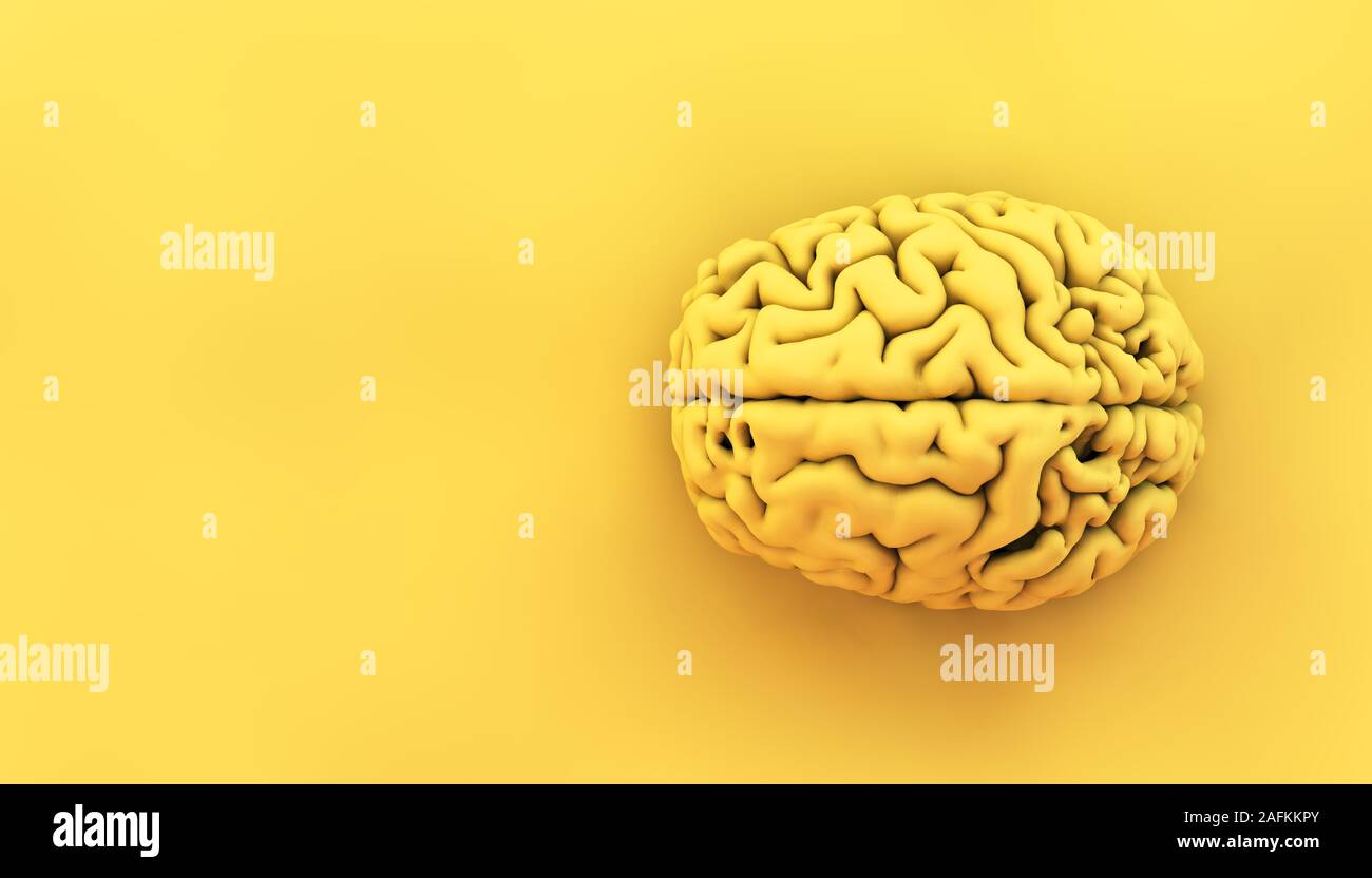 Brain minimal icon hi-res stock photography and images - Alamy