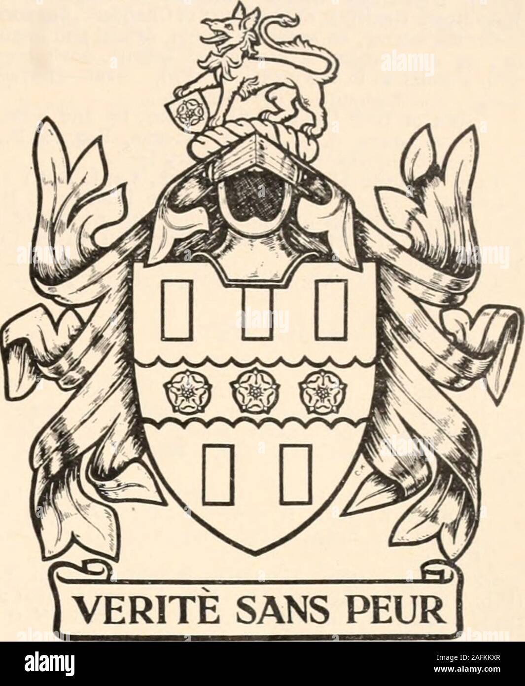 Tiger armour families hi-res stock photography and images - Alamy