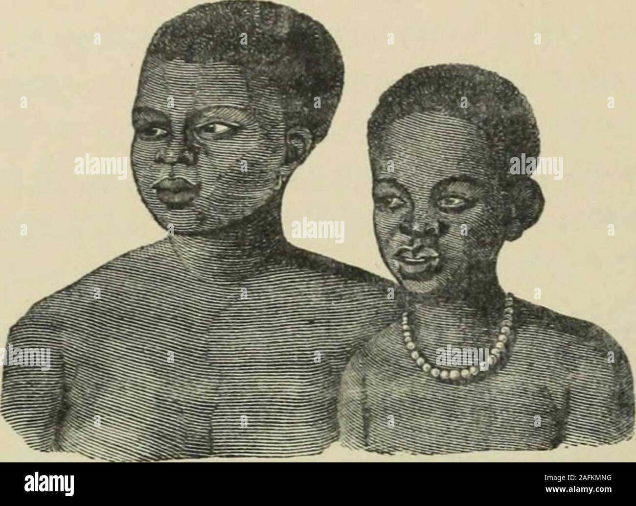 Bushman adventures africa hi-res stock photography and images - Alamy