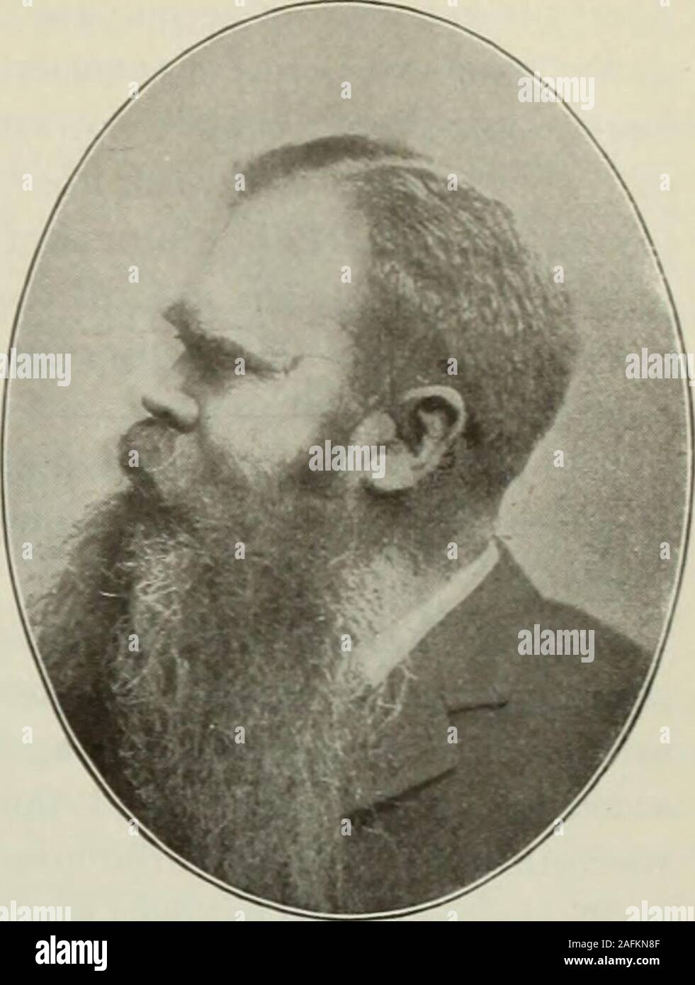 William thomas hamilton hi-res stock photography and images - Alamy