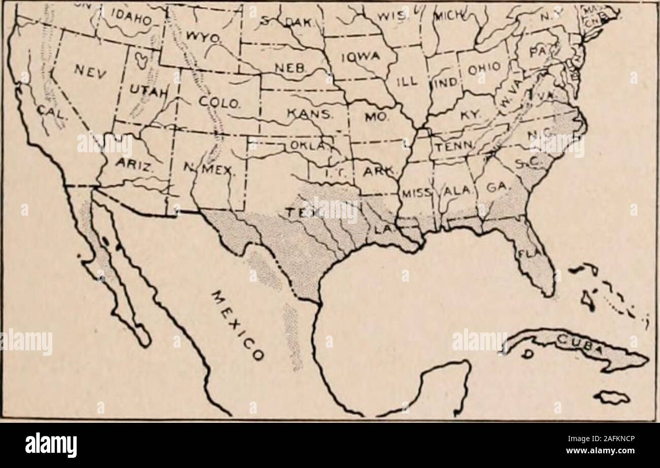 Obovate oblanceolate leaves hi-res stock photography and images - Alamy