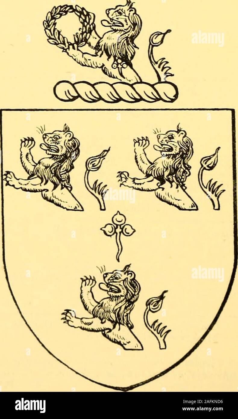 Fcsse hi-res stock photography and images - Alamy