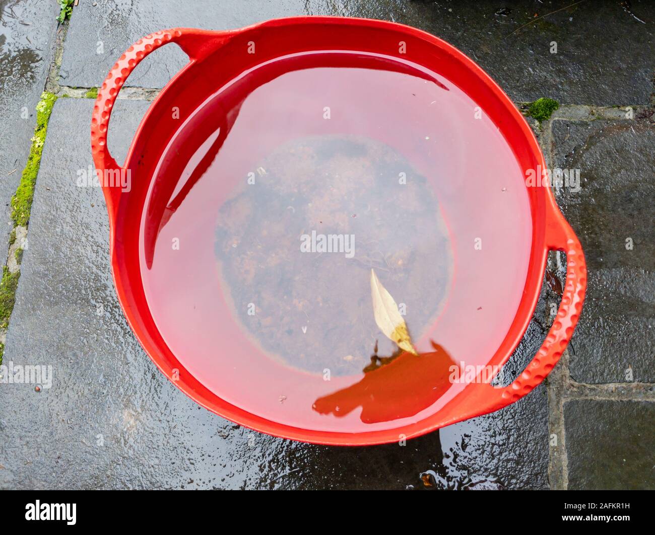 Dirty bucket water hi-res stock photography and images - Alamy