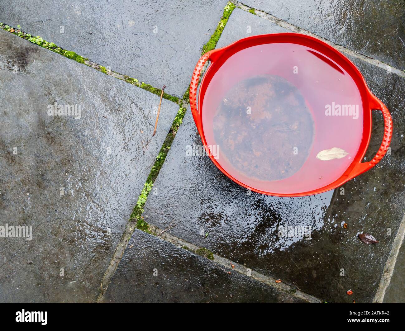 Dirty bucket water hi-res stock photography and images - Alamy