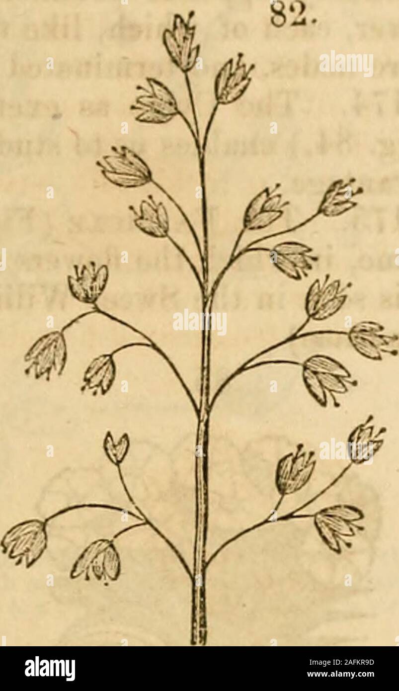 . The Botanical Class-Book and Flora of Pennsylvania. 172. Of the ...