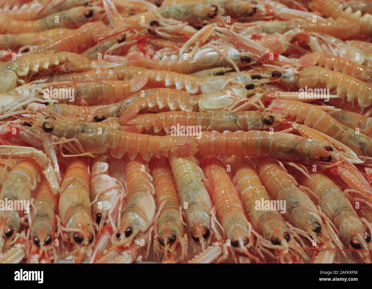 Shrimps at a mediterranean market Stock Photo - Alamy