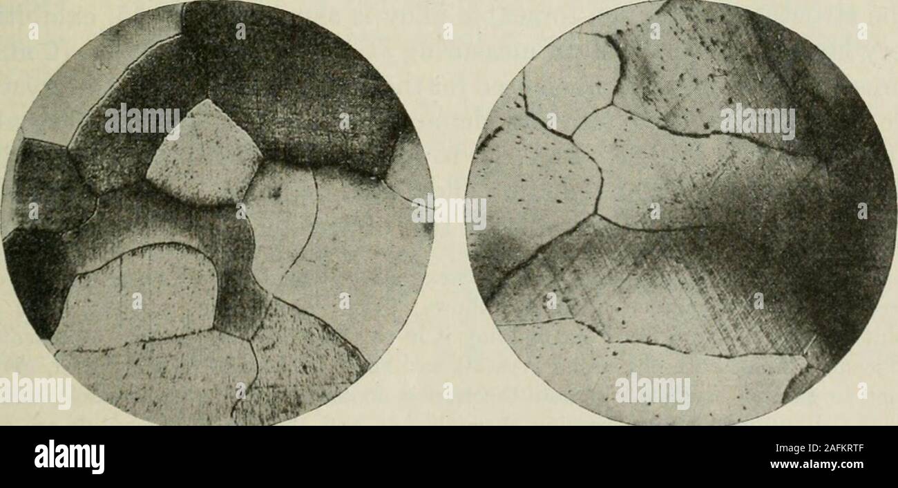. Transactions. Annealed at 900°.Fig. I8b.— X 40 Diam. Picric Acid. Fig ...