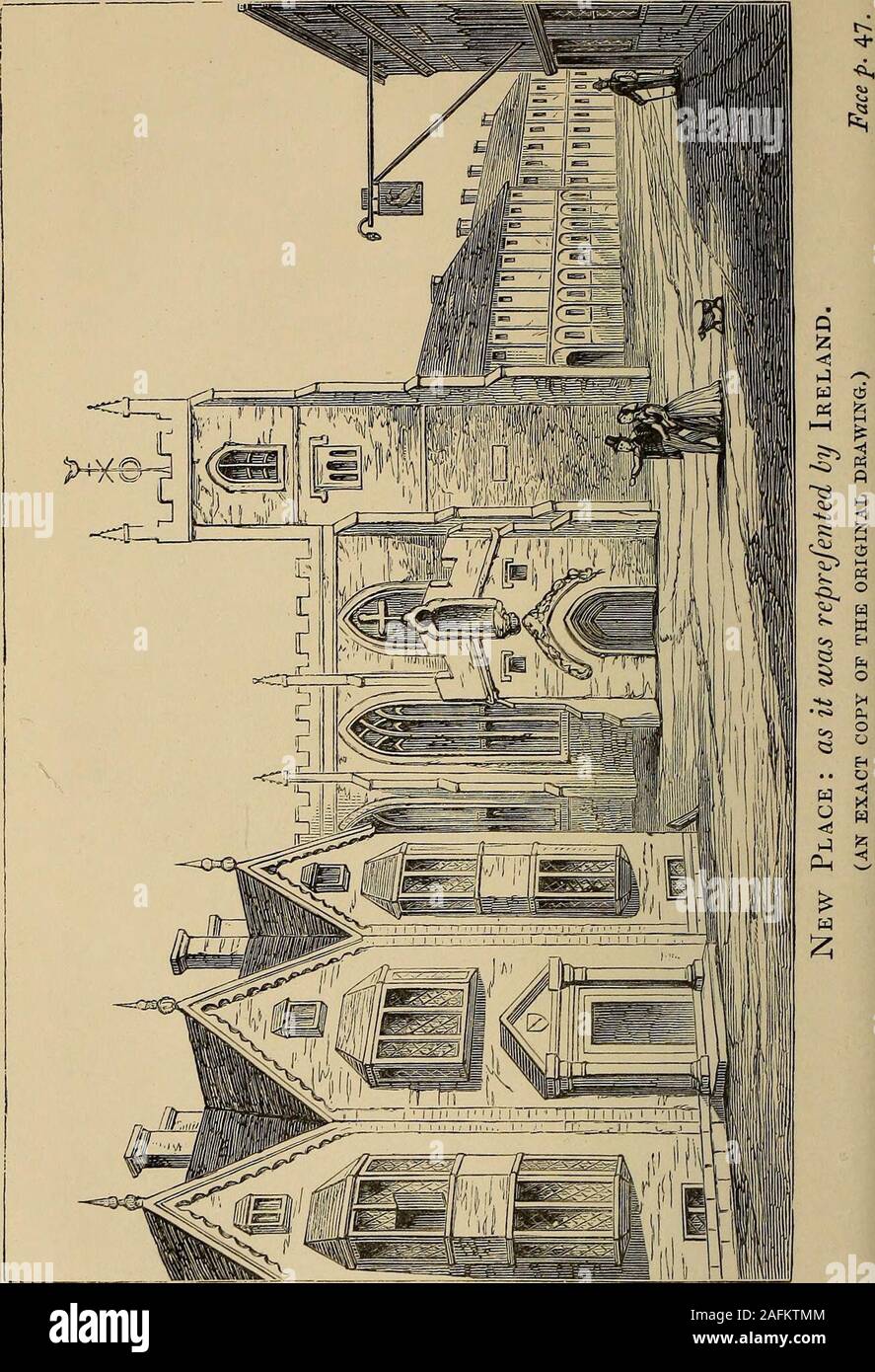 Ori baron hi-res stock photography and images - Alamy