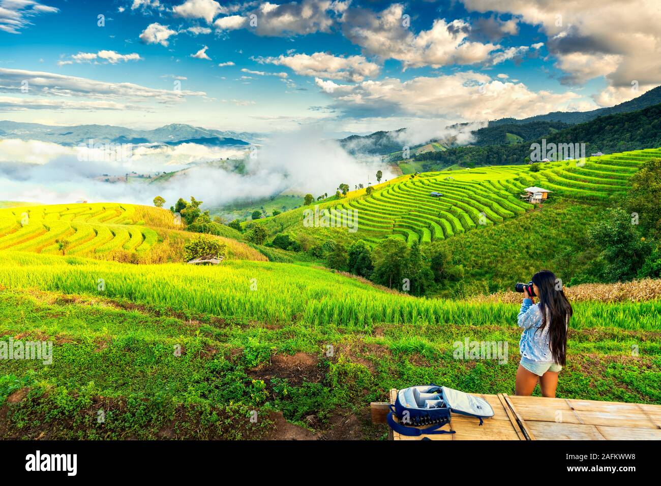Travel woman make photo nature landscape and enjoy scenery view rice ...
