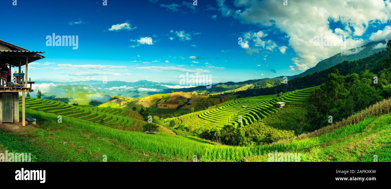 Sapa rice field hi-res stock photography and images - Alamy