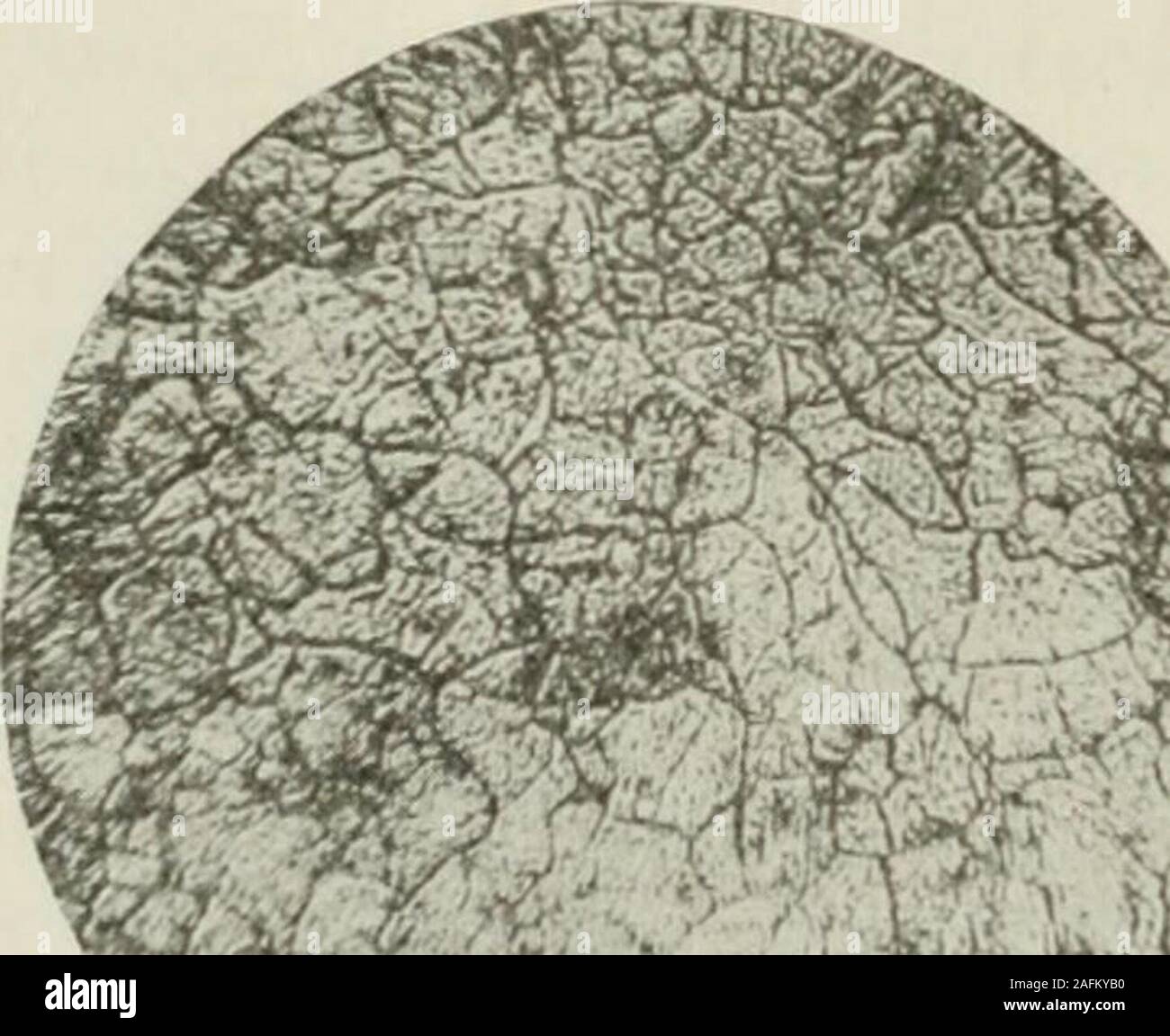 . Transactions. Annealed at 900°.Fig. 13b.—X 40 Diam. Picric Acid. Fig ...
