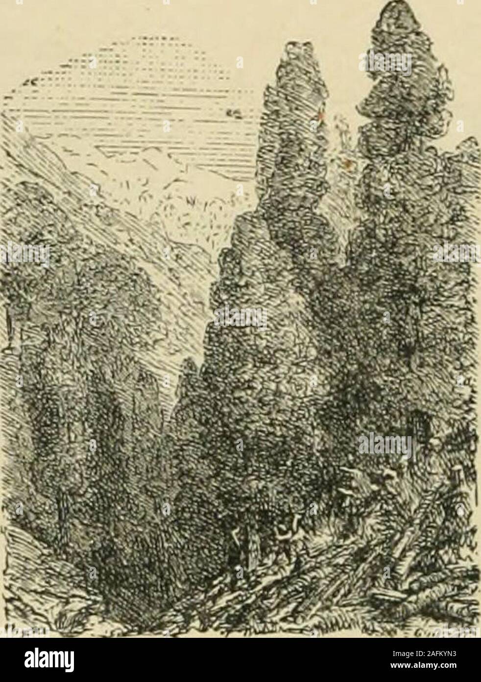 . The world's inhabitants; or, Mankind, animals, and plants; being a ...