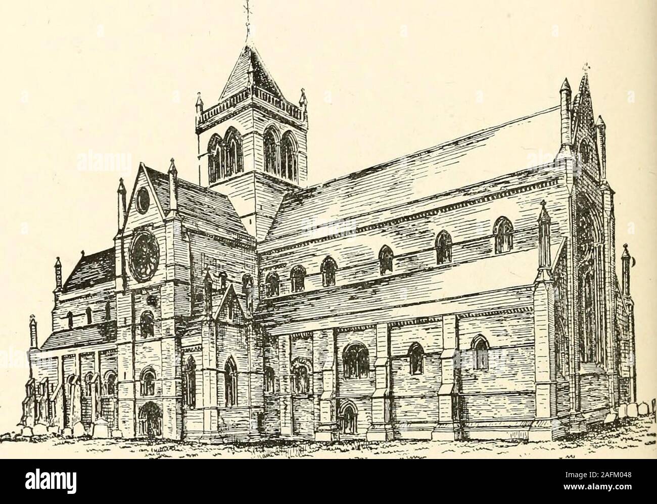 Groining hi-res stock photography and images - Alamy