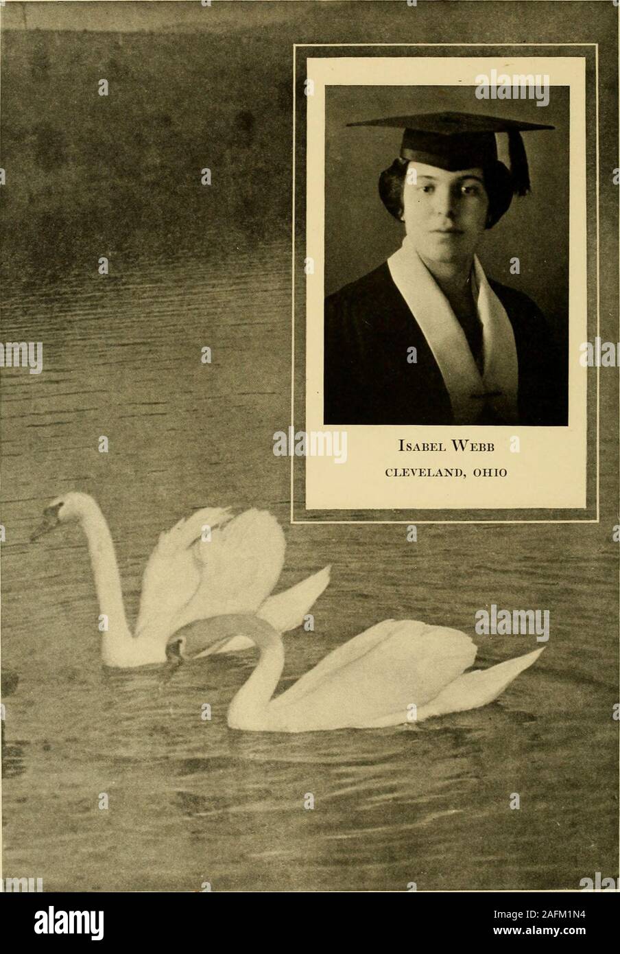 Briar Patch High Resolution Stock Photography and Images - Alamy