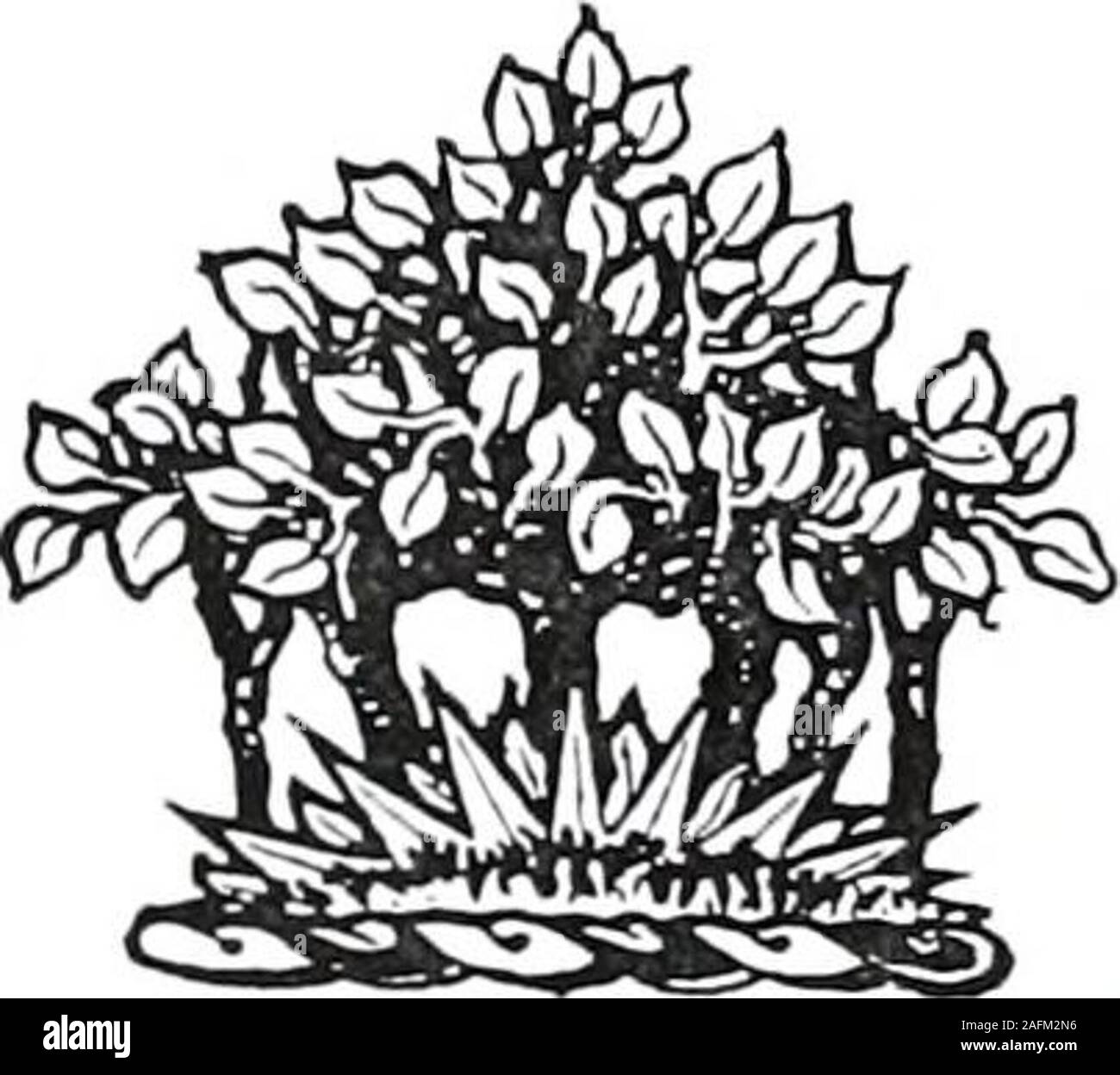 . History of the families of Skeet, Somerscales, Widdrington, Wilby ...