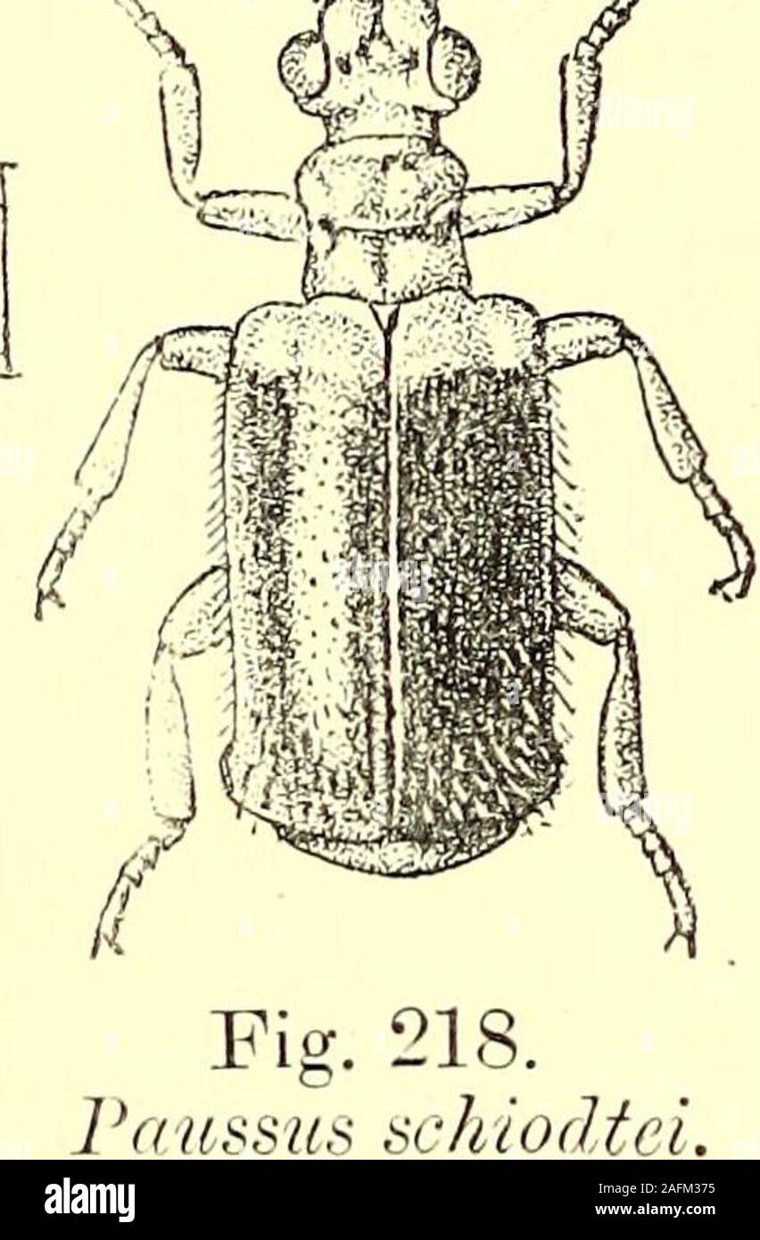 Errex hi-res stock photography and images - Alamy