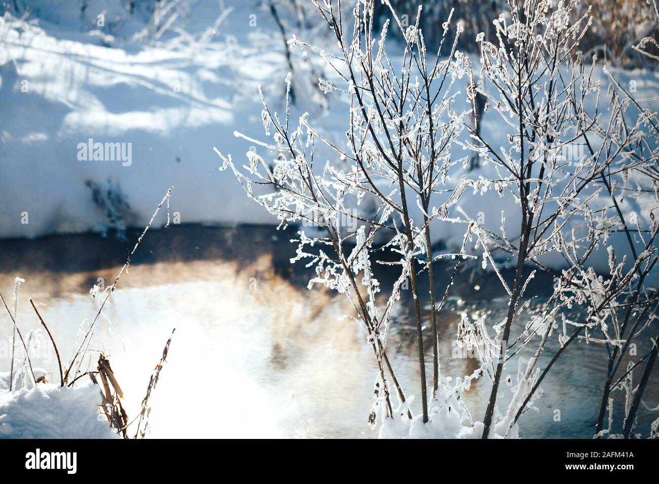Winter landscape with frosty trees and bushes Stock Photo - Alamy