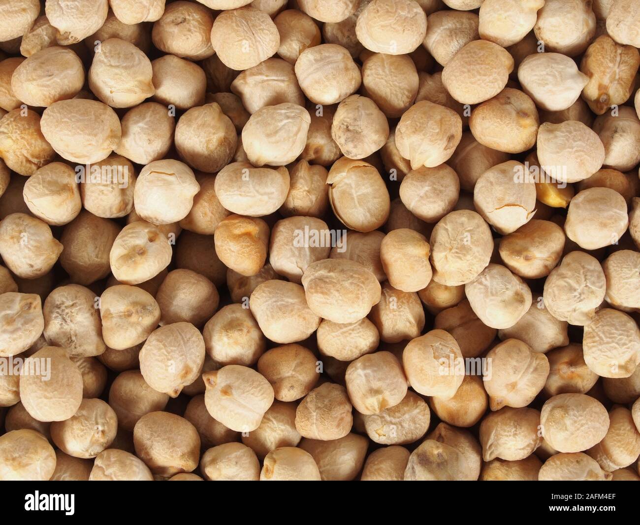 Garbanzo beans can hi-res stock photography and images - Alamy