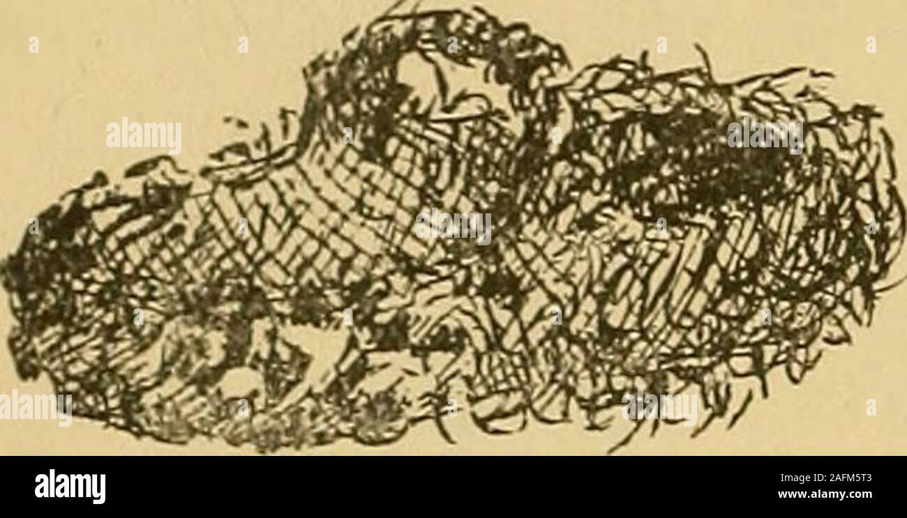 Lumps of mud hi-res stock photography and images - Alamy