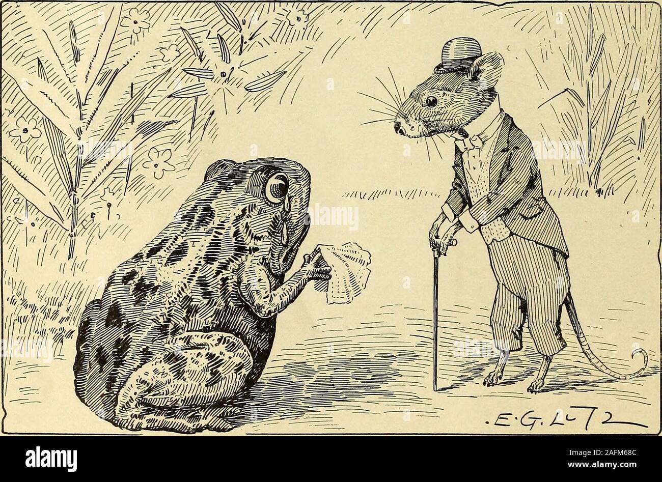 Toad poles hi-res stock photography and images - Alamy