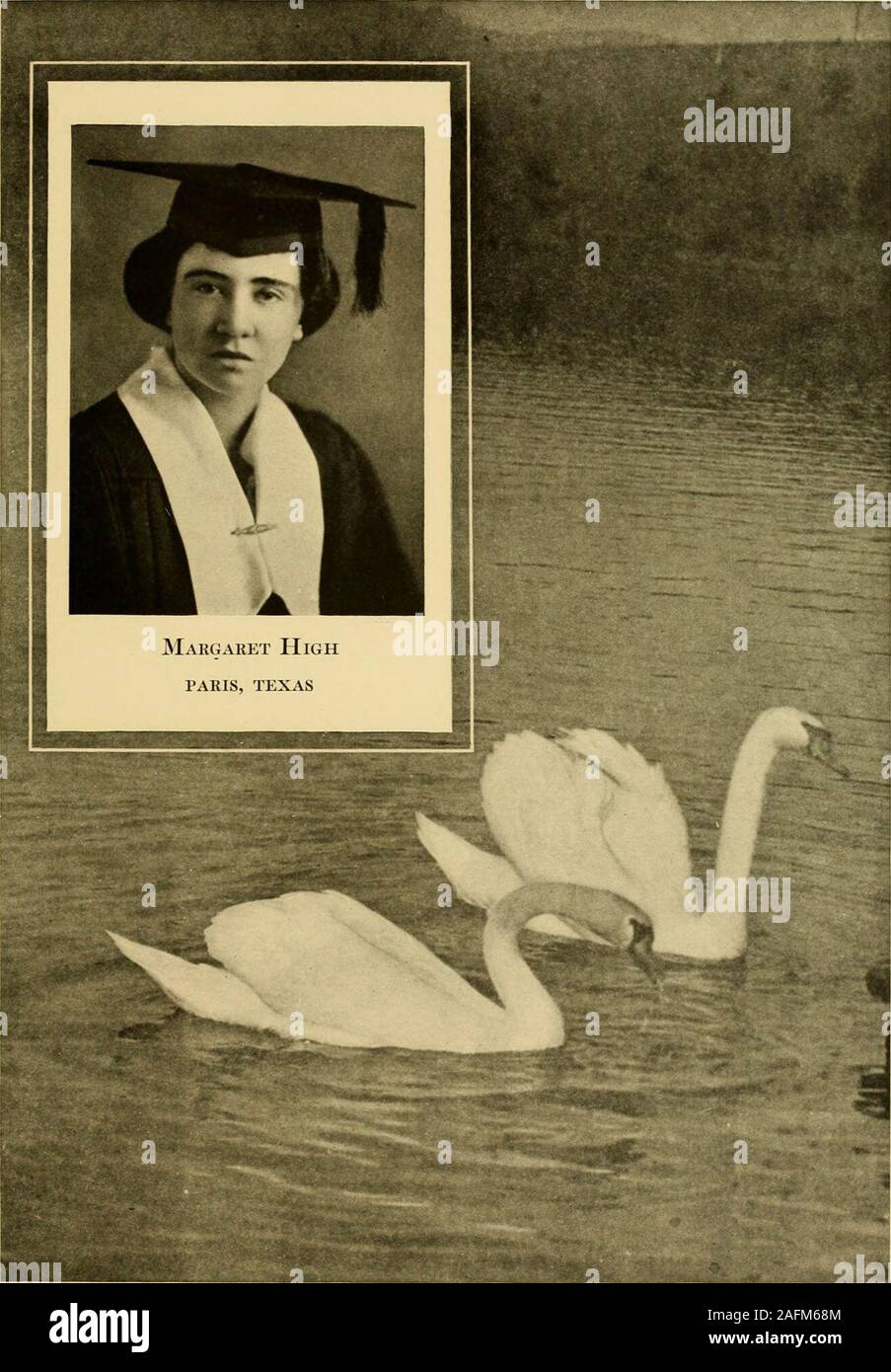 Briar patch hi-res stock photography and images - Alamy