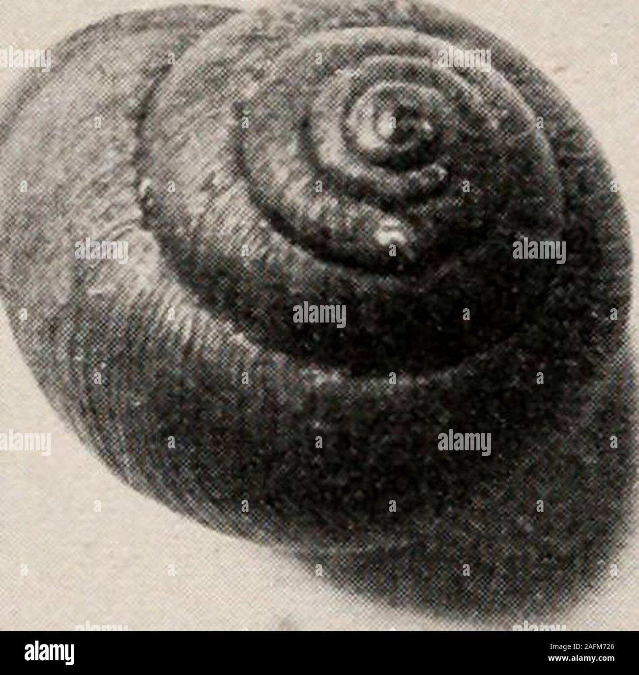 Thisprocess hi-res stock photography and images - Alamy