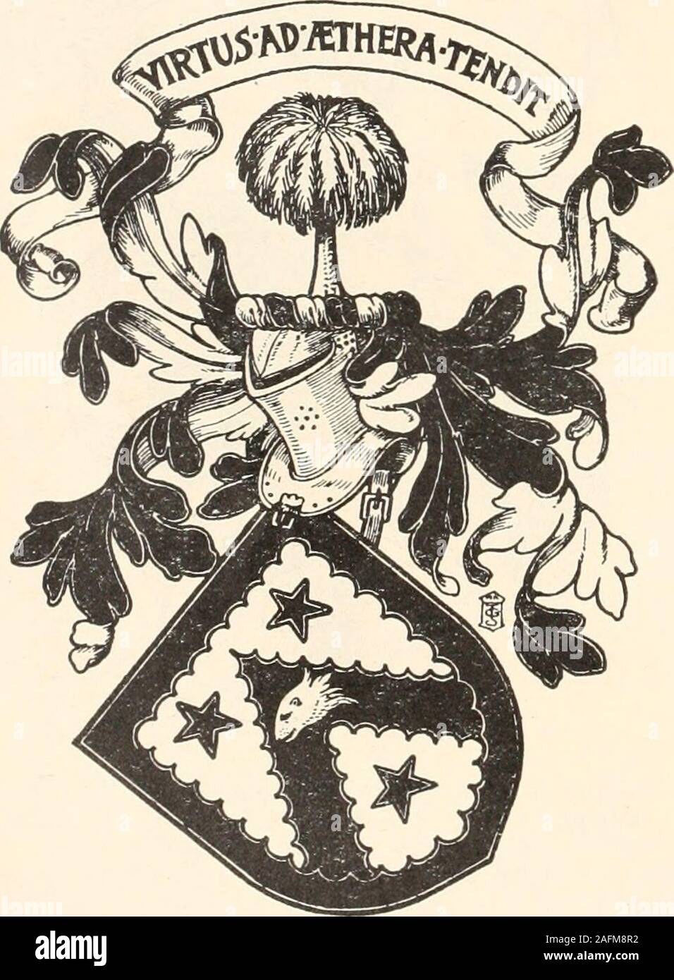 Three mullets hi-res stock photography and images - Alamy