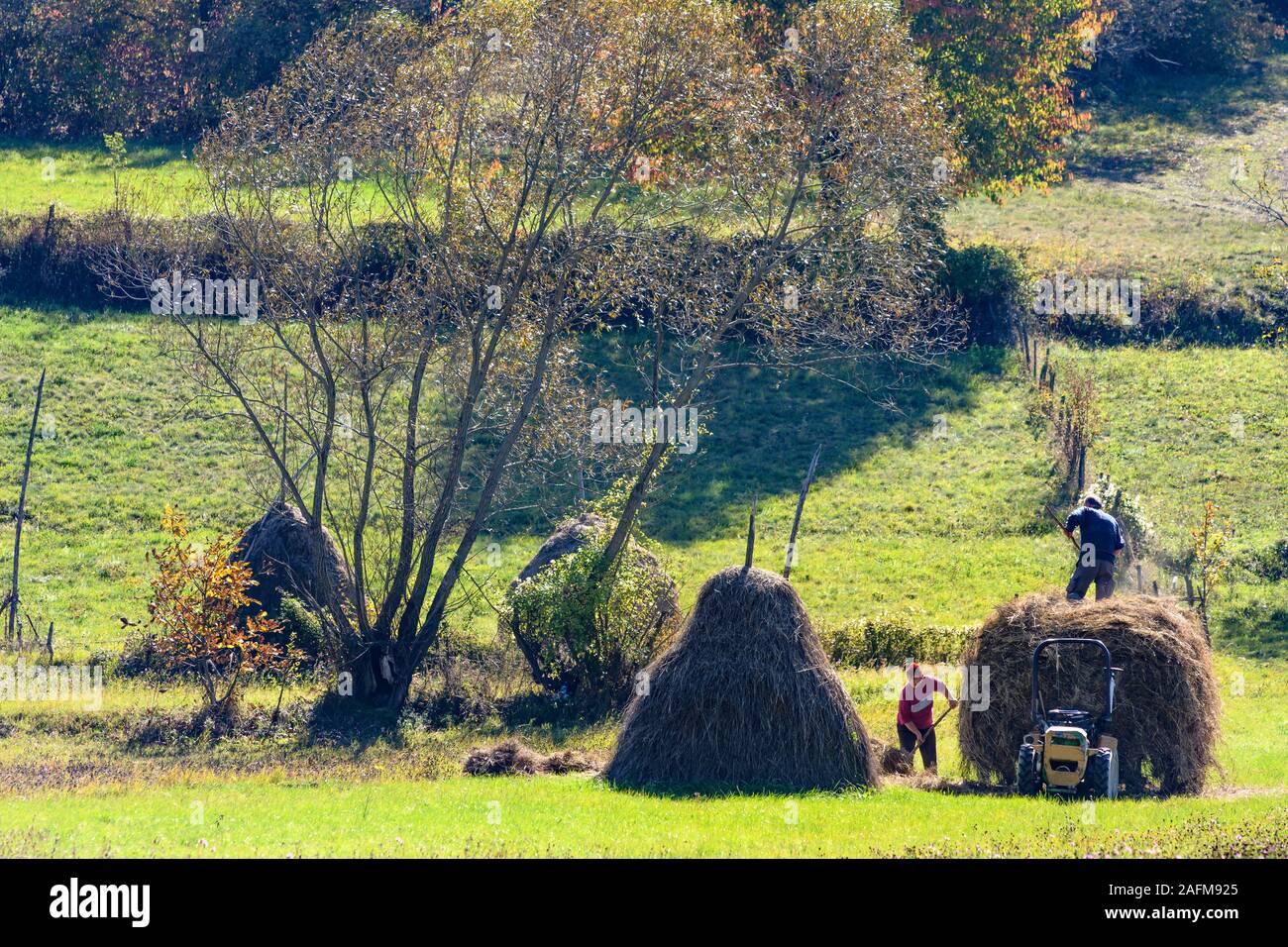 Farmers building haystacks near Štrpce below the Sharr Mountain ...