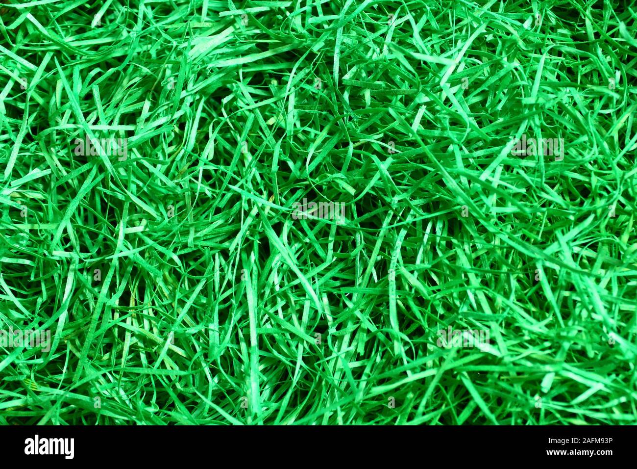 The picture shows green easter grass Stock Photo - Alamy