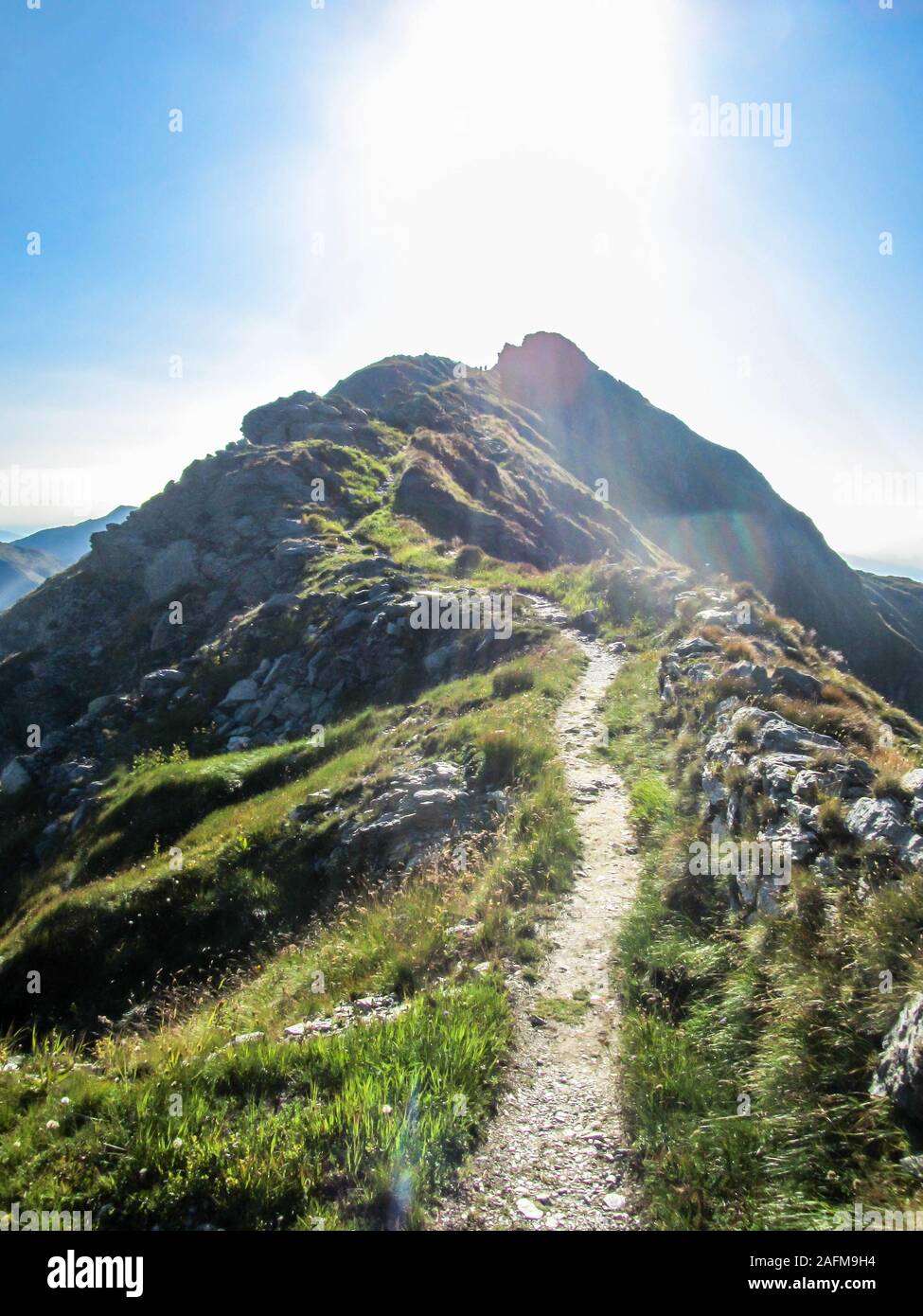 Hiking trail in the high mountain. A narrow trail leading to the top of ...