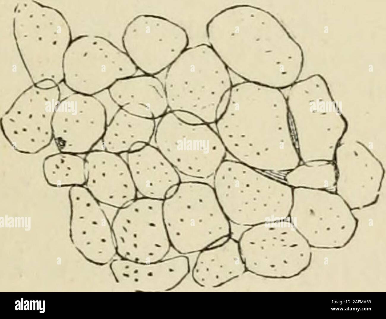 Spindle shaped hi-res stock photography and images - Alamy