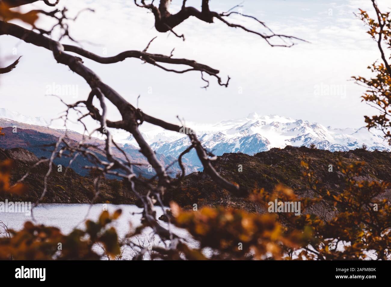Mountain landscape through branches of autumn trees Stock Photo - Alamy