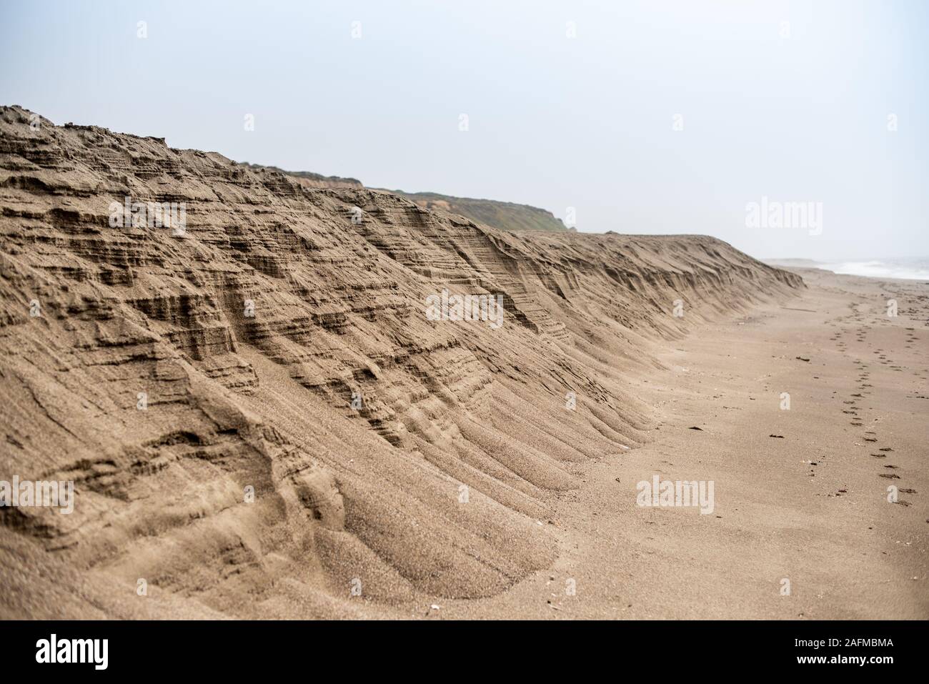 Tall Sand dune receding into distance along shore of beach Stock Photo ...