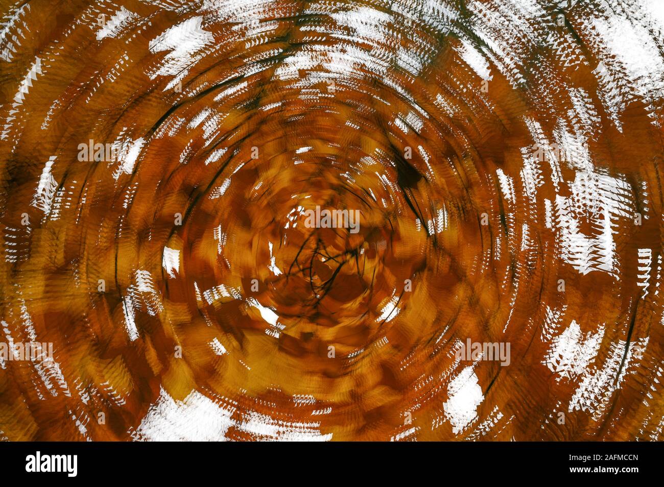 Fall Leaves Multiple Exposure Spinning Stock Photo - Alamy