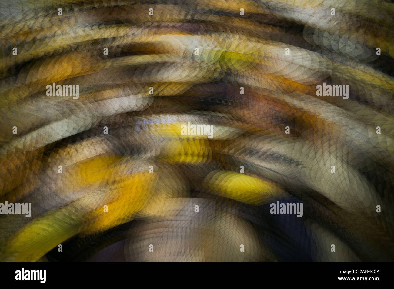 Fall Leaves Multiple Exposure Panning Stock Photo - Alamy