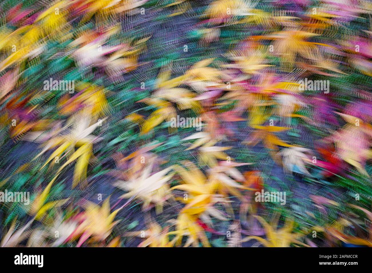 Fall Leaves Multiple Exposure Panning Camera Stock Photo - Alamy
