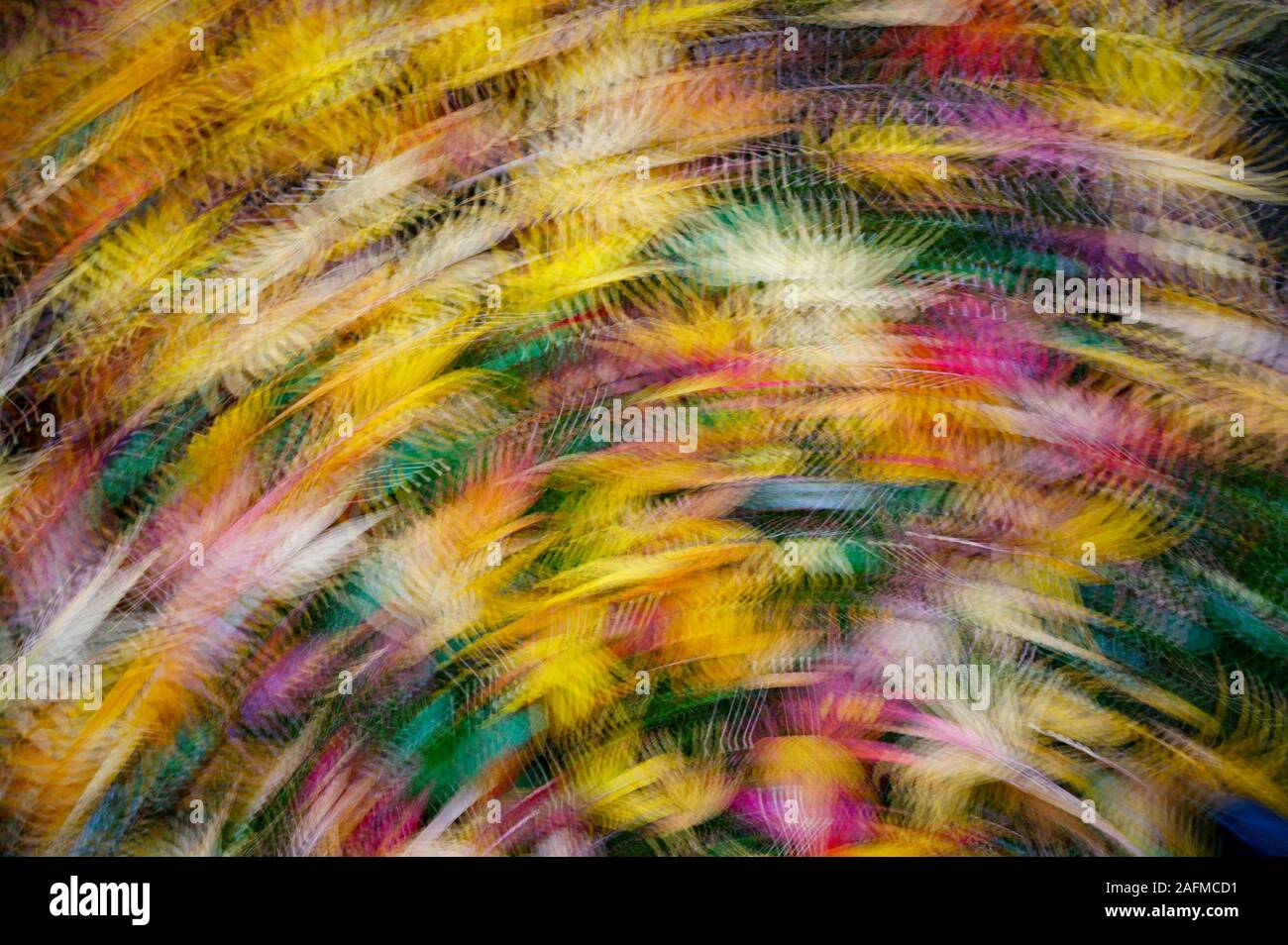 Fall Leaves Multiple Exposure Panning Camera Stock Photo - Alamy