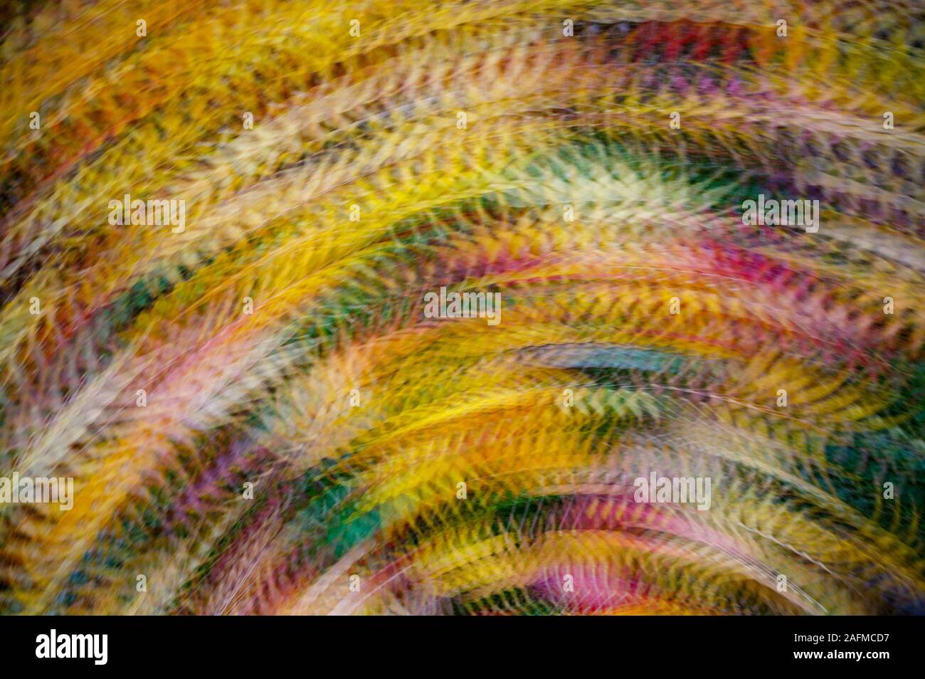 Fall Leaves Multiple Exposure Panning Camera Stock Photo - Alamy