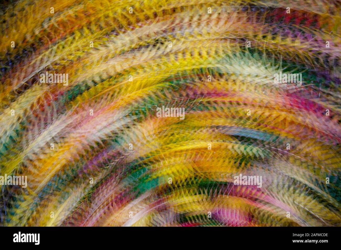 Fall Leaves Multiple Exposure Panning Camera Stock Photo - Alamy