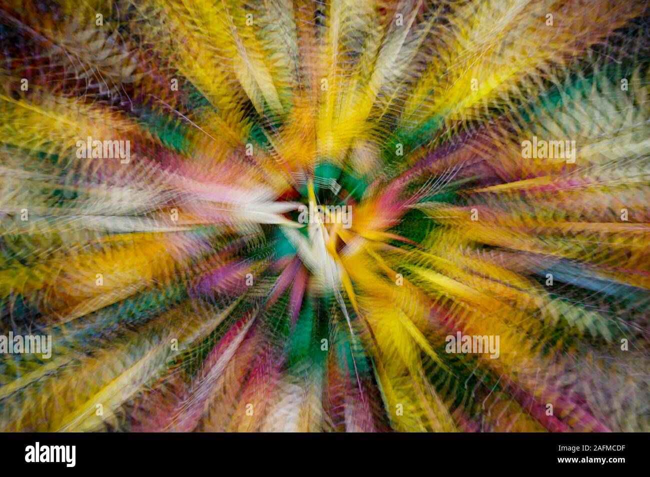 Fall Leaves Multiple Exposure Zooming Camera Stock Photo - Alamy